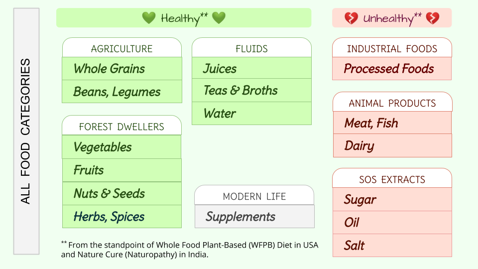 Part 4: Pre-Agriculture, Agriculture & Modern Food Sources